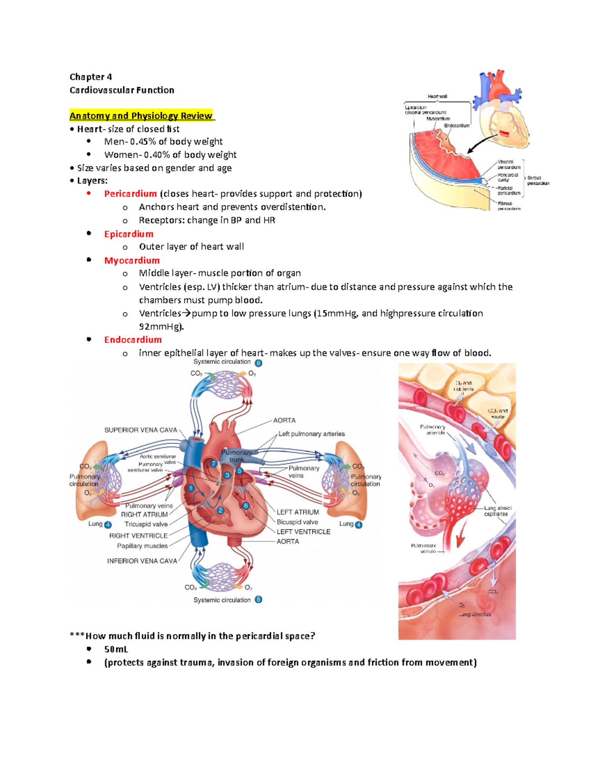 Ch 4- cardio - lecture notes duglasch - Chapter 4 Cardiovascular ...