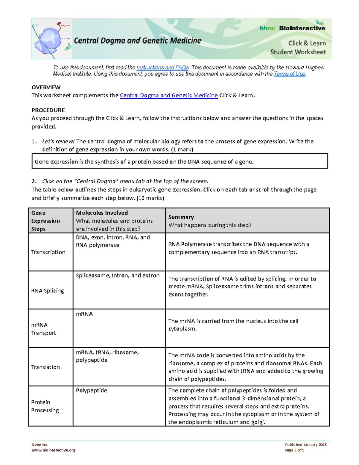 Copy of Copy of CDGM-Student WS-CL - To use this document, first read ...