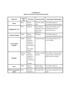 Anatomical Position, Planes and Describing Movement - In your own words ...
