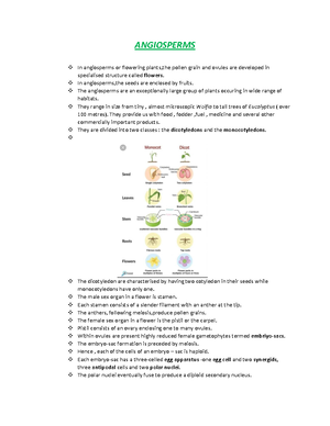 Plant life cycle and alternation of generation - PLANT LIFE CYCLE AND ...