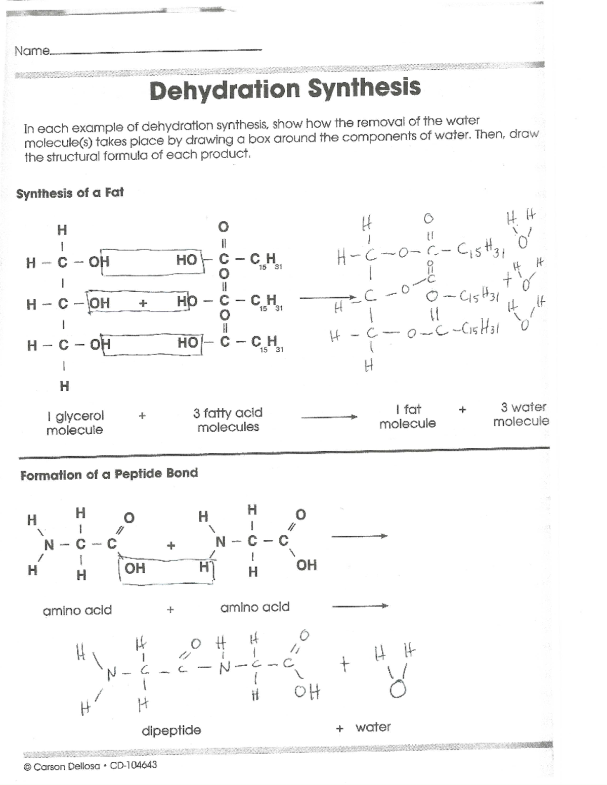 Hydration WS - Studocu