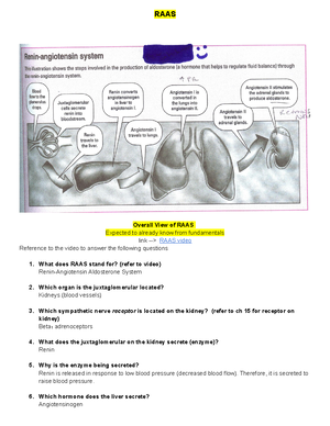 Diabetes Mellitus - Medication template - ACTIVE LEARNING TEMPLATES ...
