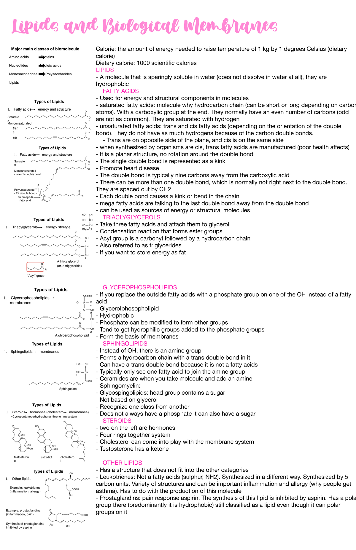 UNIT B Metabolism - Lipids and Biological Membranes Calorie: the amount ...