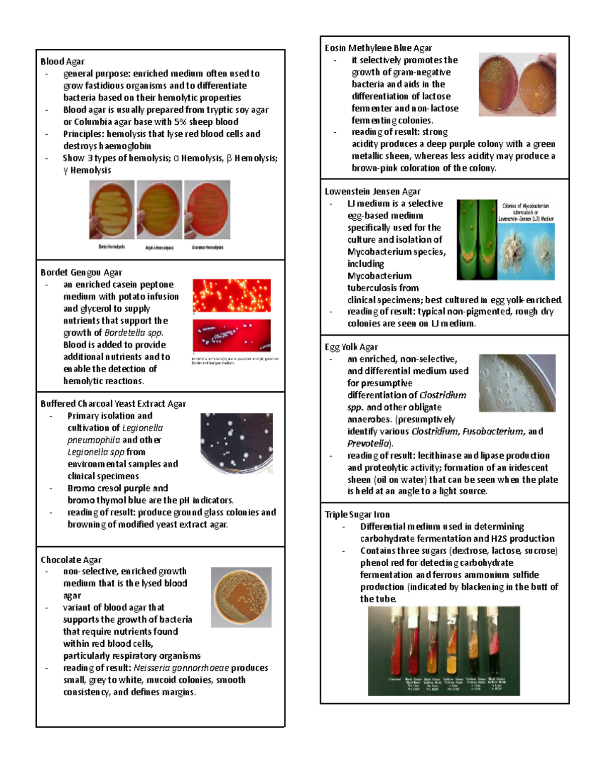 (3) Medical Microbiology - Blood Agar - general purpose: enriched ...