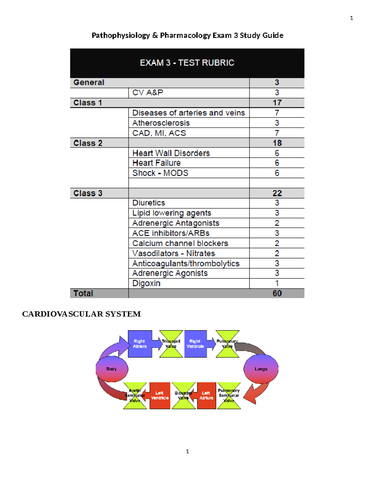 Patho I Exam 3 Study Guide - Pathophysiology & Pharmacology Exam 3 ...