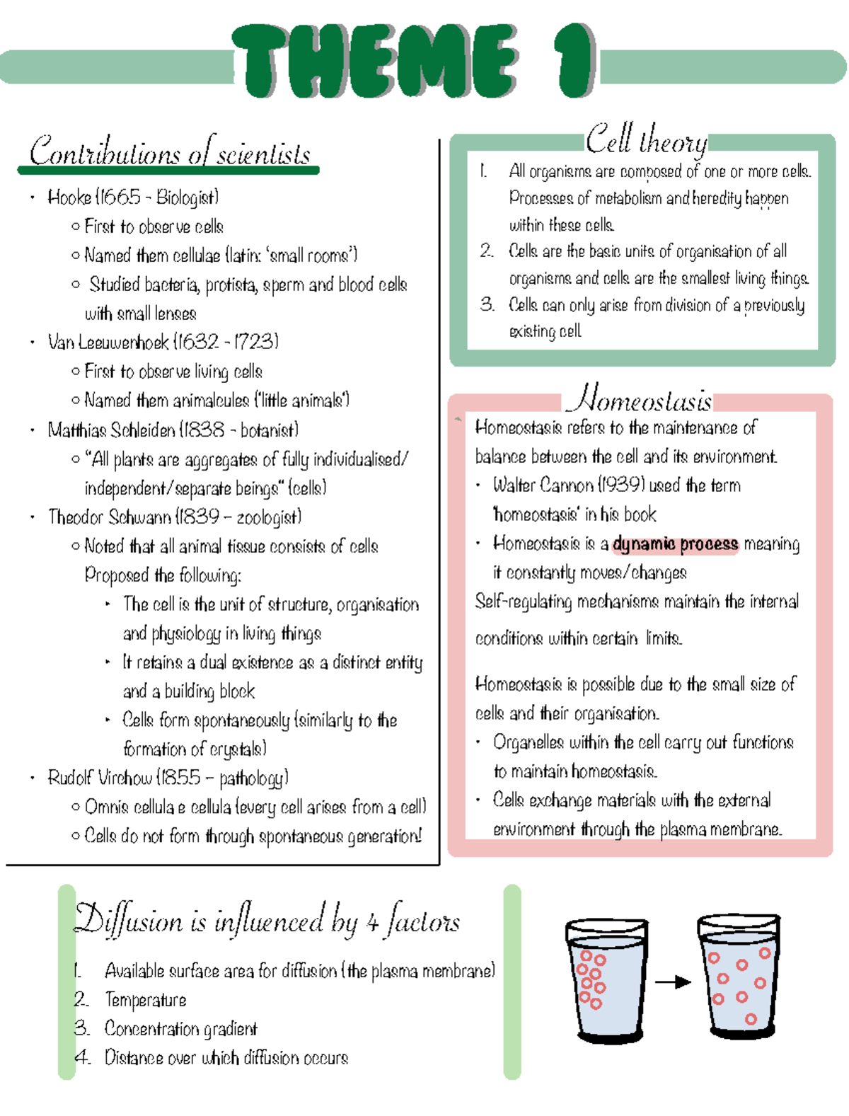 MLB 111 Theme 1-4 - Theme 1 Contributions of scientists Homeostasis ...