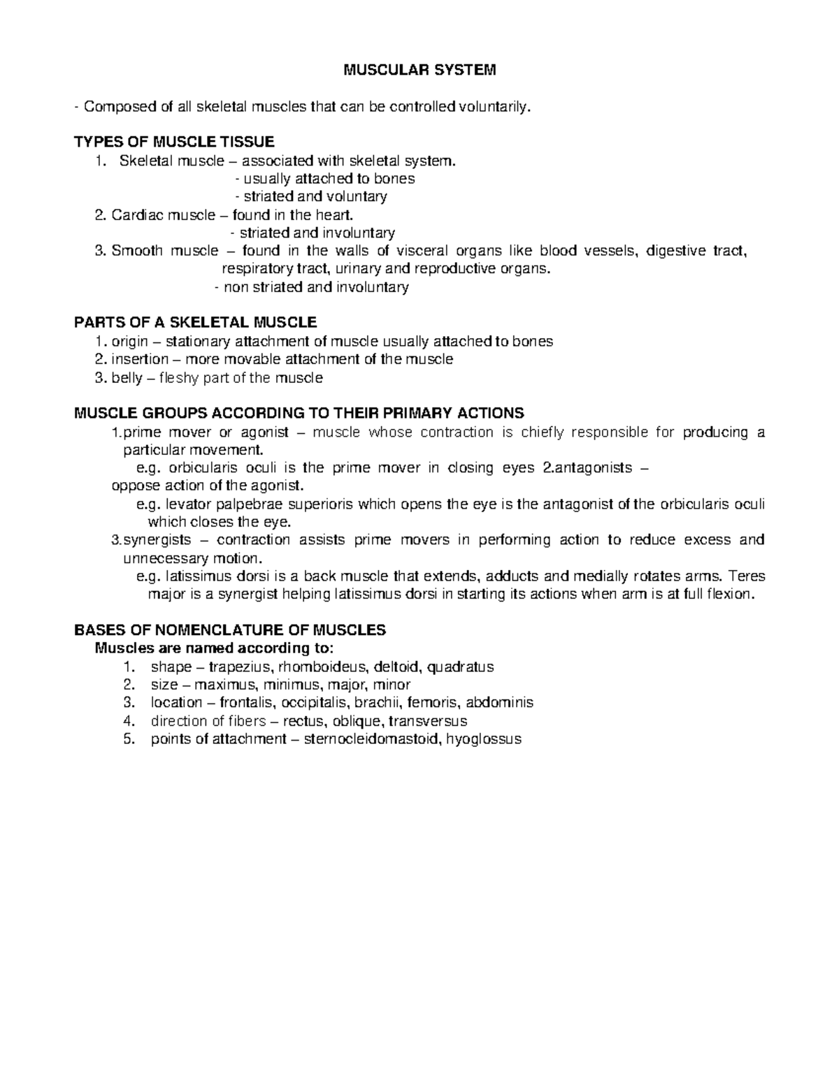 Lecture Guide Muscular System - MUSCULAR SYSTEM Composed of all ...