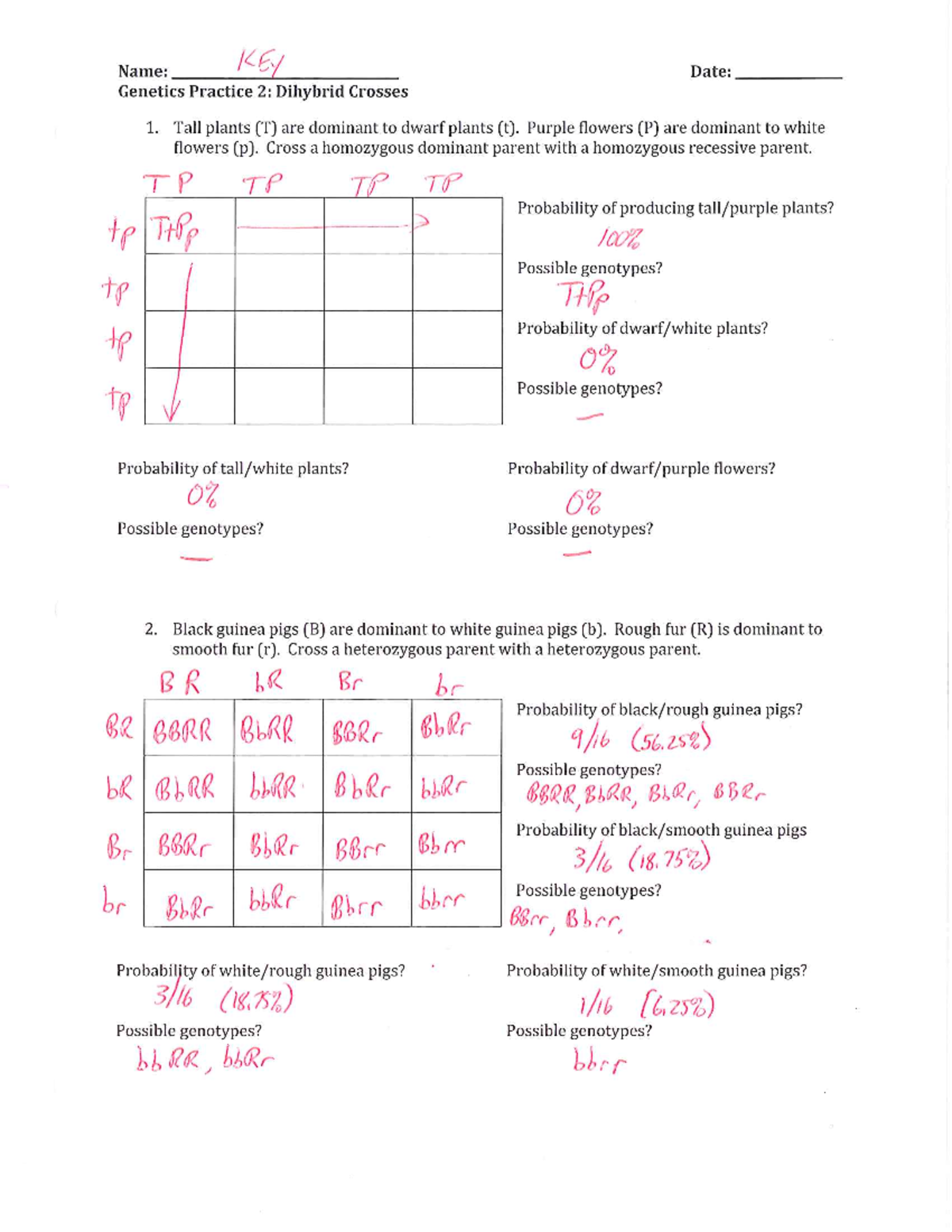 Genetics practice 2 - dihybrid crosses - key - Studocu