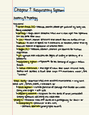 Medical Terminology Male Reproductive System - Chapter13 Reproductive ...