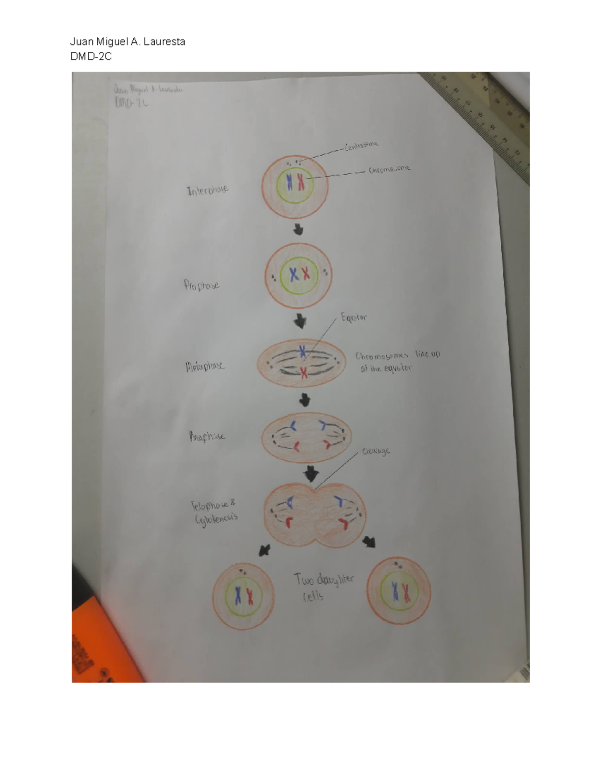 Lauresta M1 L2 Part-2 Check-In -Activity - Juan Miguel A. Lauresta DMD ...