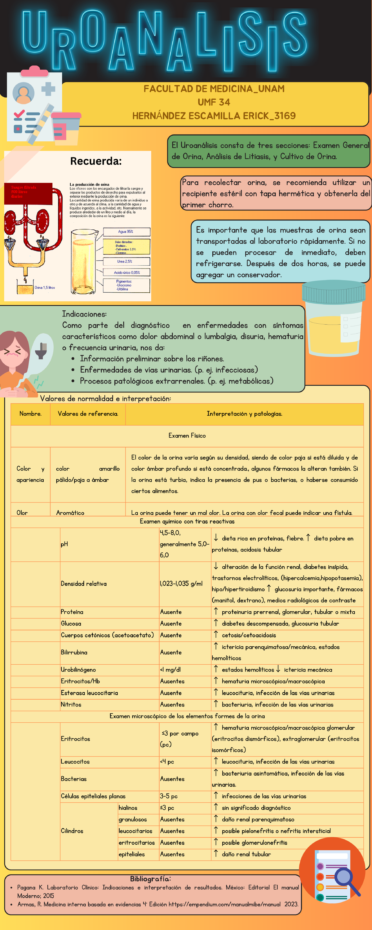 Infografía Uroanálisis Laboratorio Clínico Studocu