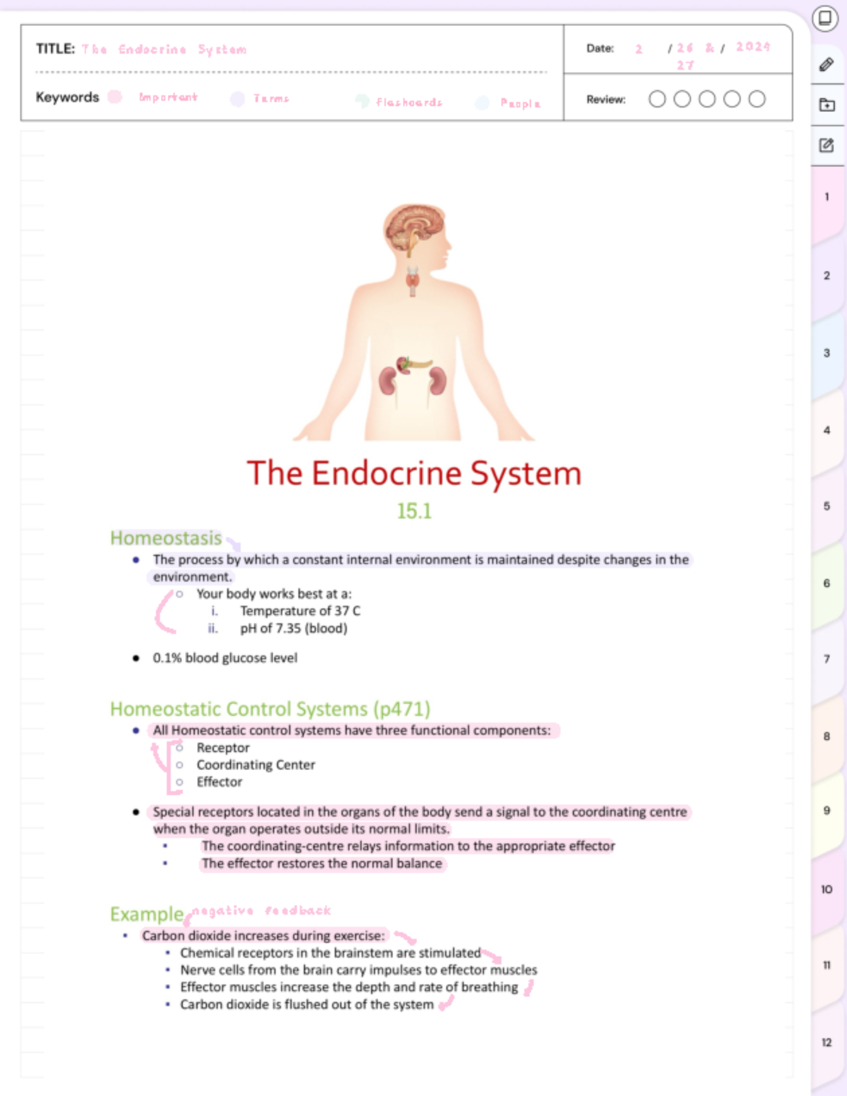 Biology 30 notes - The Endocrine System Important Terms Flashcards ...