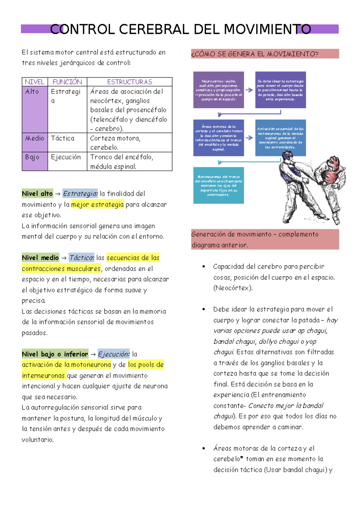 NC Control cerebral del movimiento 24 - CONTROL CEREBRAL DEL MOVIMIENTO ...