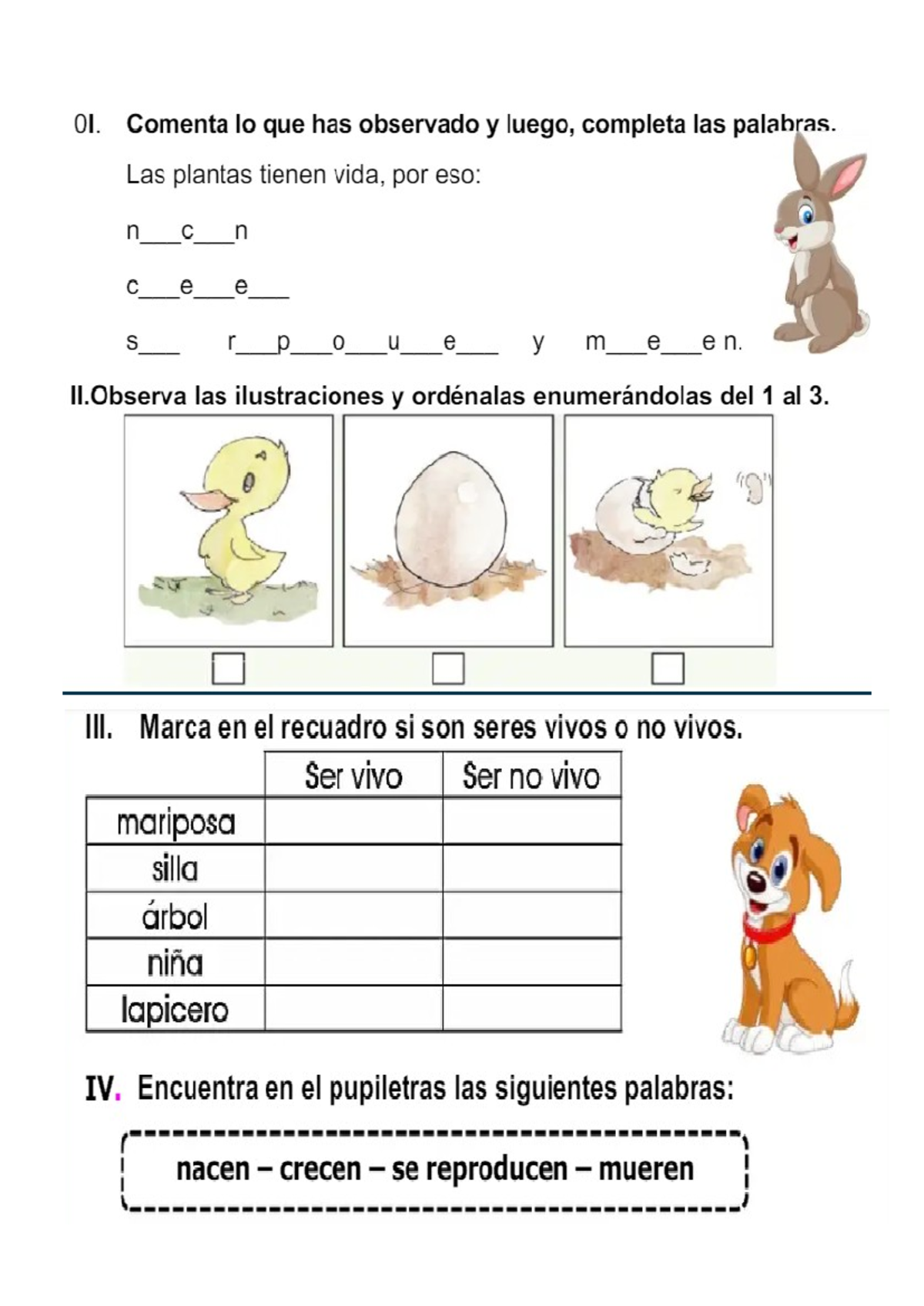 Ficha ciclo vital de los animales - CIENCIAS SOCIALES - ENCUENTRA LA ...