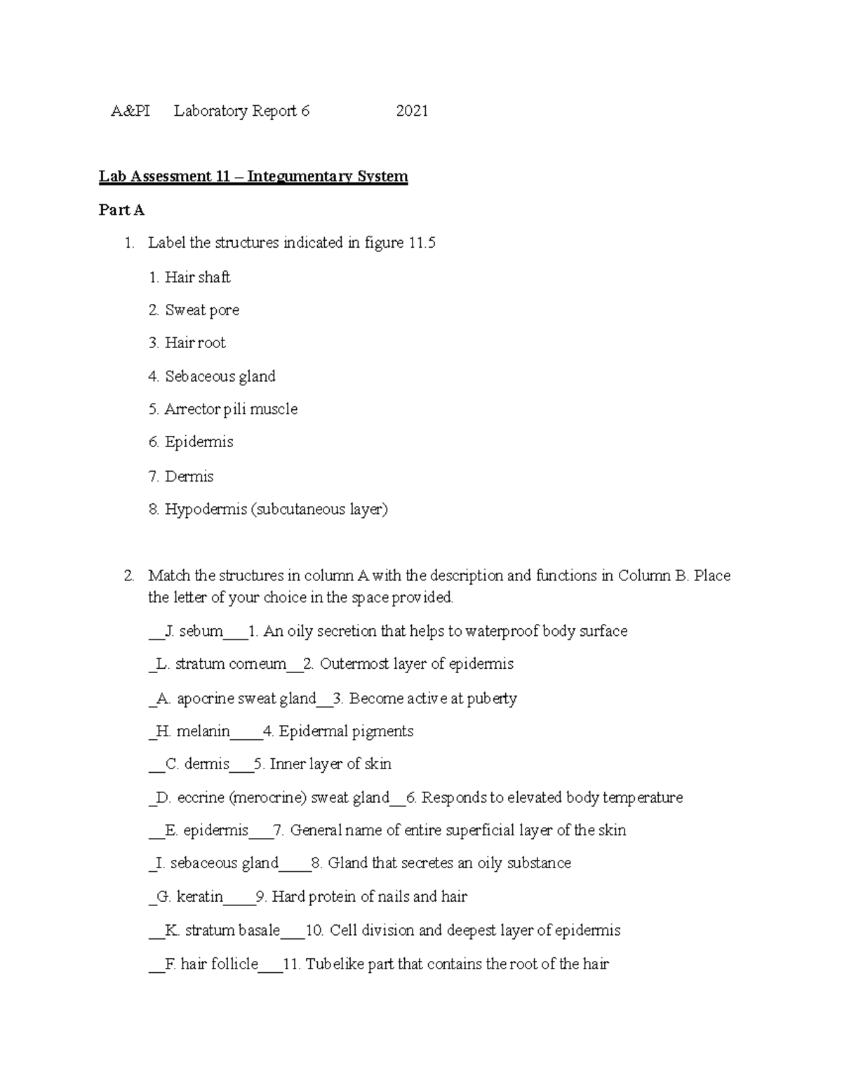 A&P I Lab Report 6 2021 - Roberto Rodriguez, DHSc, MS, MD Lab ...