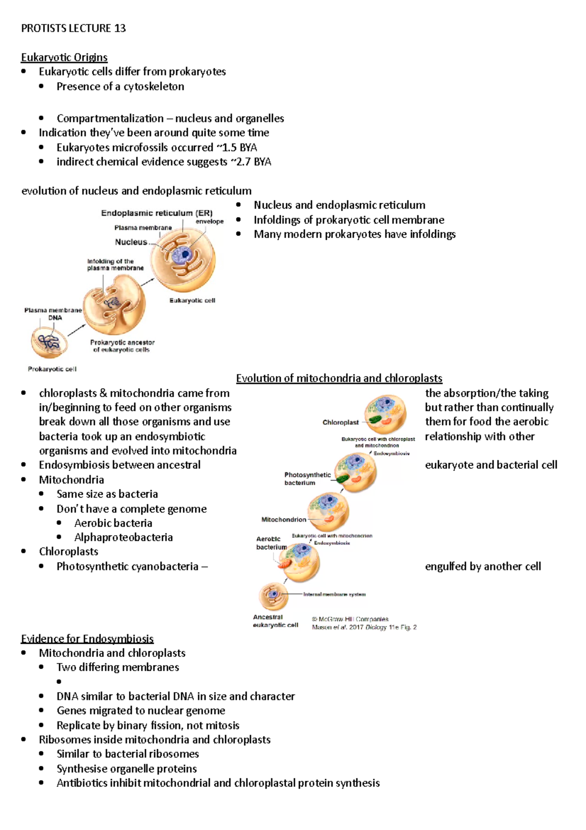 Protists Lecture 13 - PROTISTS LECTURE 13 Eukaryotic Origins Eukaryotic ...