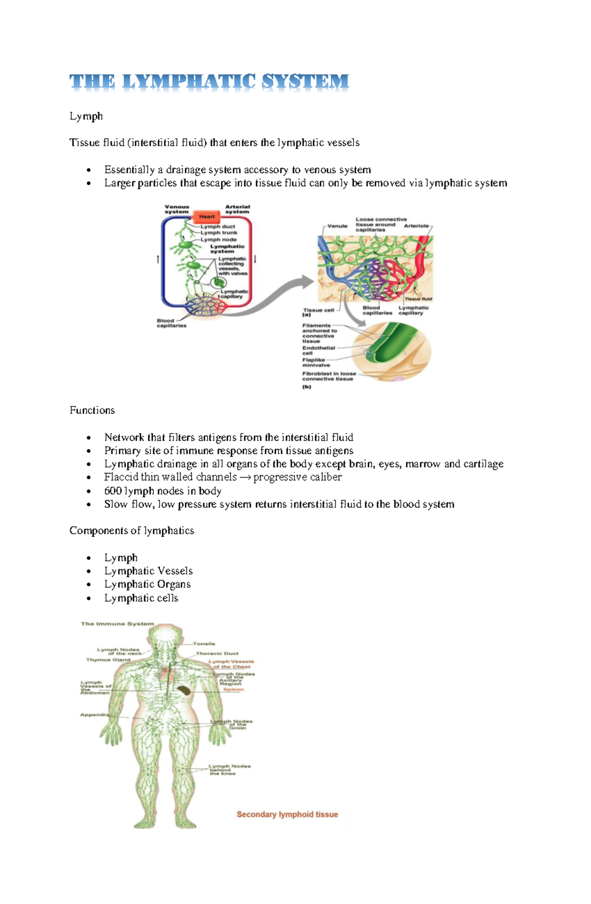 The Lymphatic System - Lymph Tissue fluid (interstitial fluid) that ...