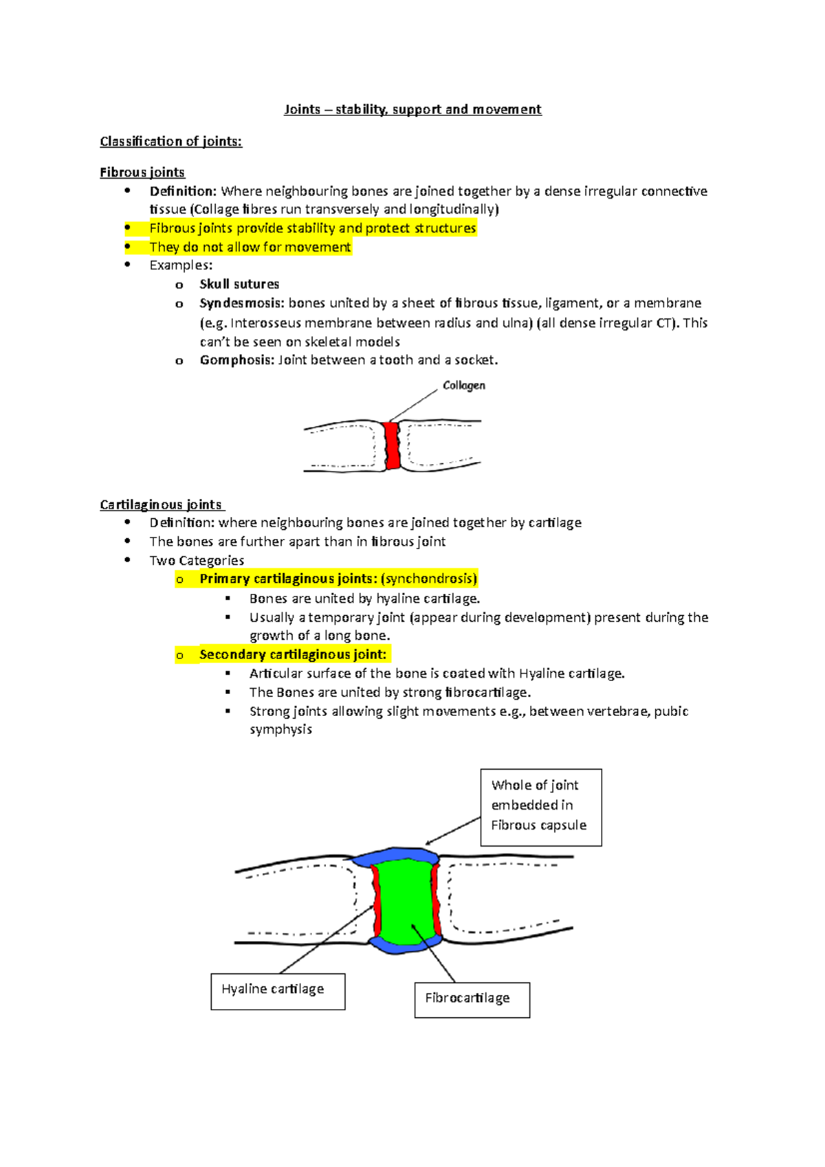 L04 Joint Stability, Support and Movement - Joints – stability, support ...