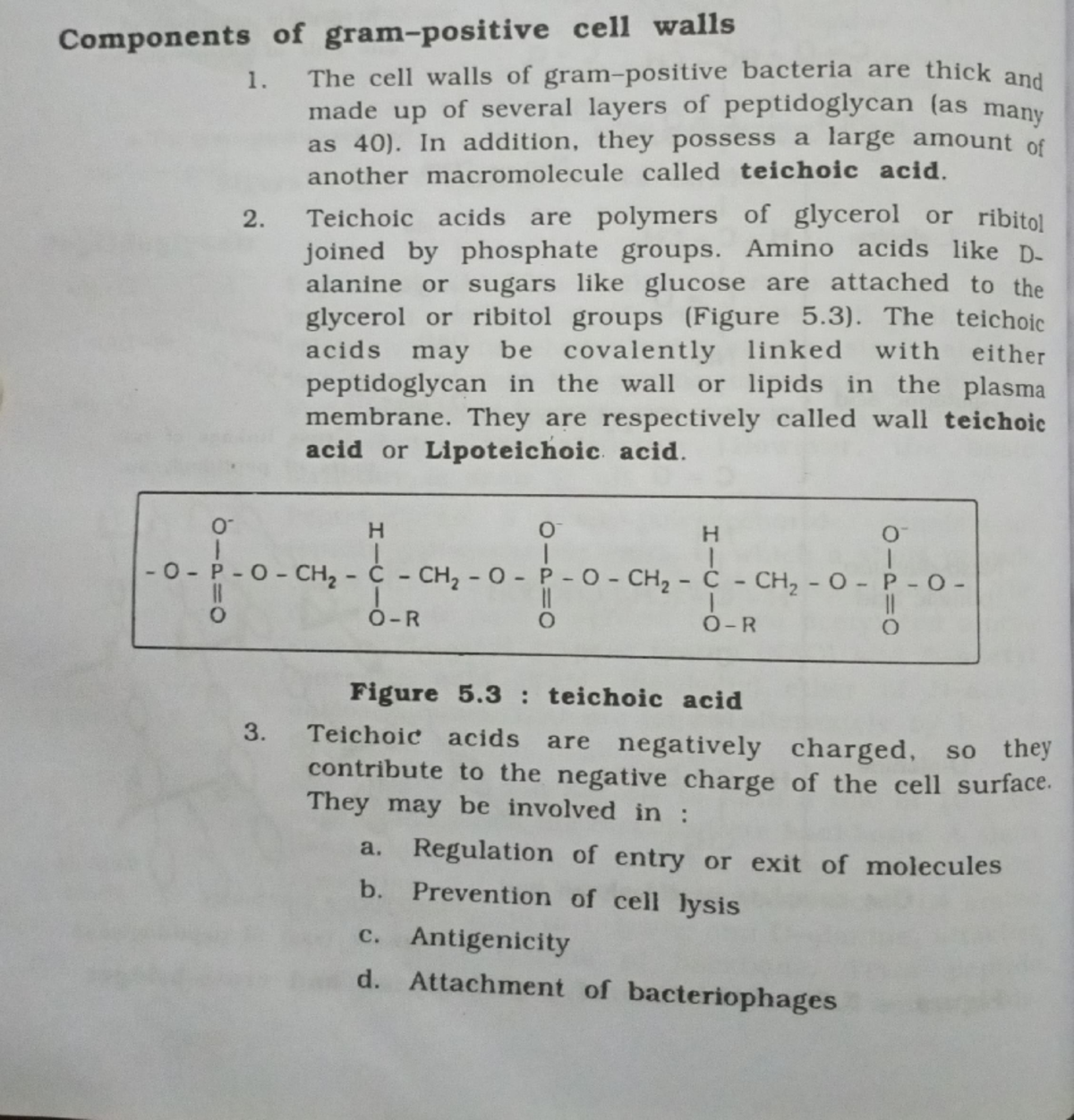 Gram positive cell wall - Components of gram-positive cell walls The ...
