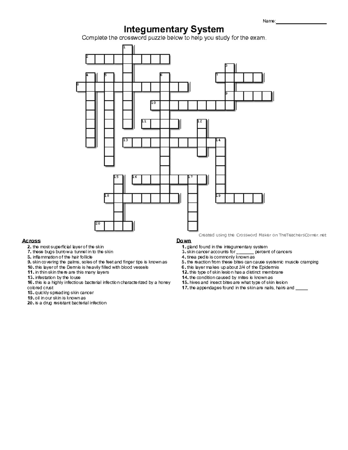 Integumentary crossword - Integumentary System Complete the crossword ...