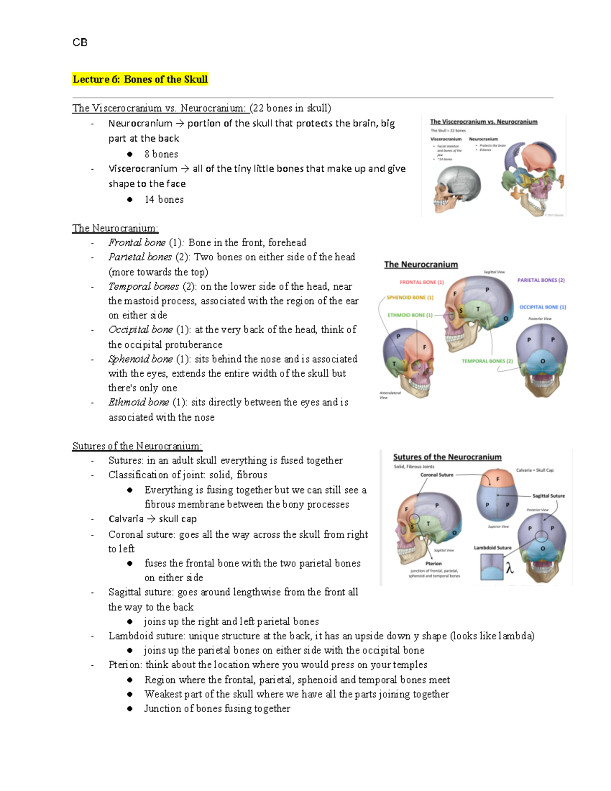 L6 - Dr. Ventura - Lecture 6: Bones of the Skull The Viscerocranium vs ...