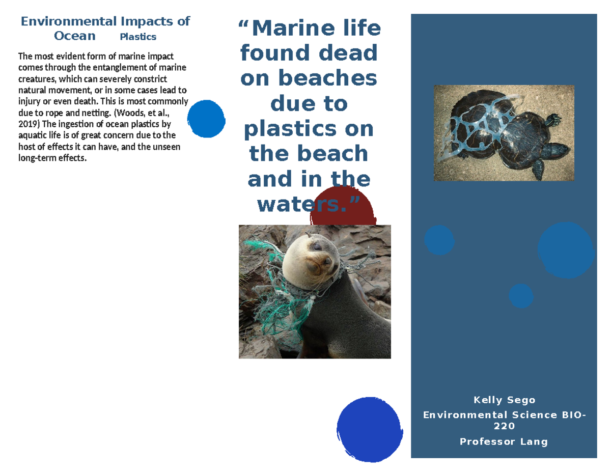 Bubbles brochure - Copy - Environmental Impacts of Ocean Plastics The ...