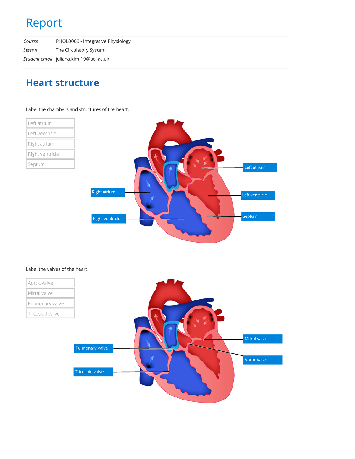 The Circulatory System report - Report Course PHOL0003 - Integrative ...