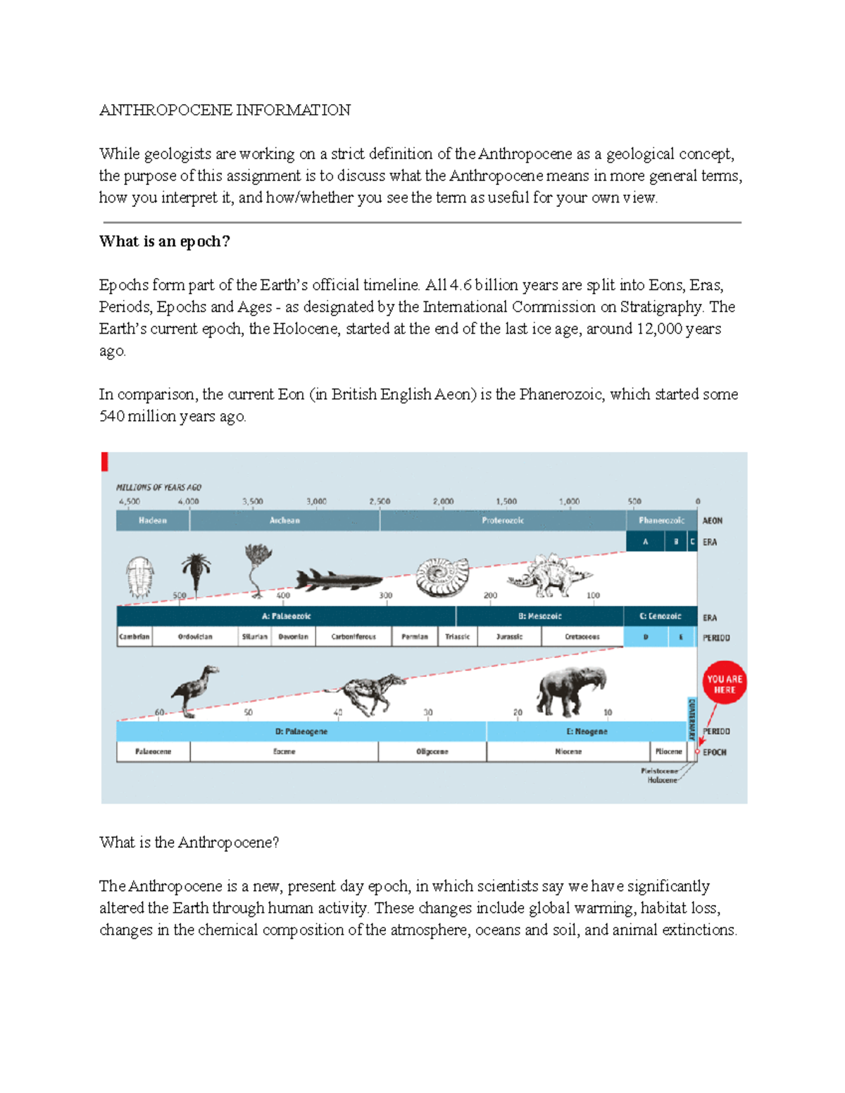 Poster Presentation II Anthropocene information - ANTHROPOCENE ...