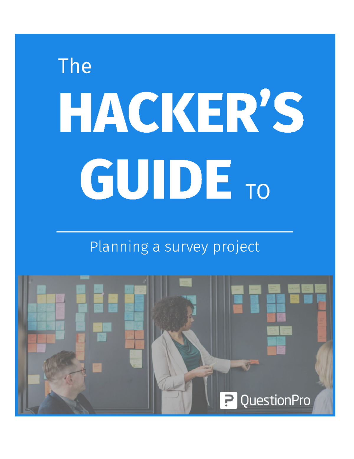 Hackers guide to survey planning - The HACKER’S GUIDE TO Planning a ...