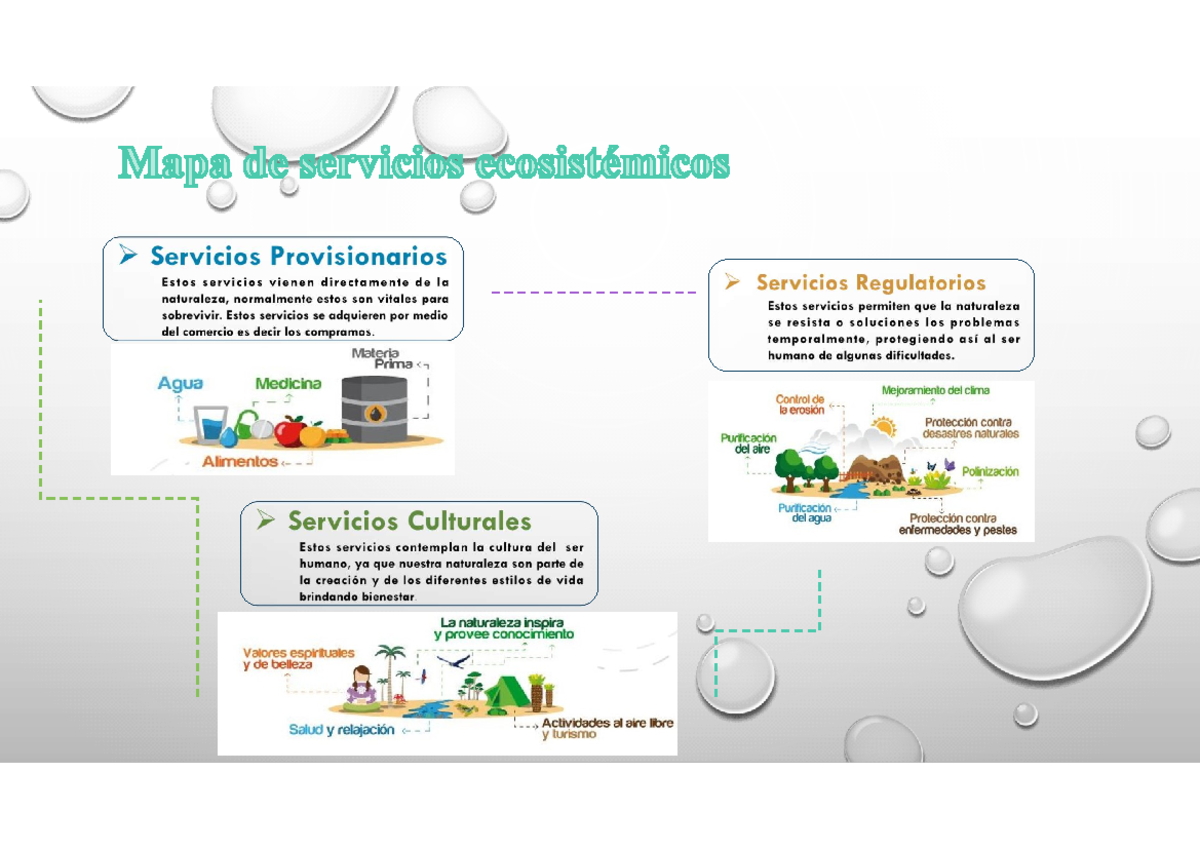 Mapa de servicios - ecosistémicos Servicios Provisionarios Estos servicios vienen directamente ...