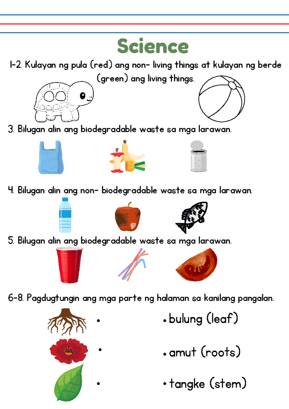 Colorful Illustrative Parts of a Plant Science Worksheet - Science 1-2 ...