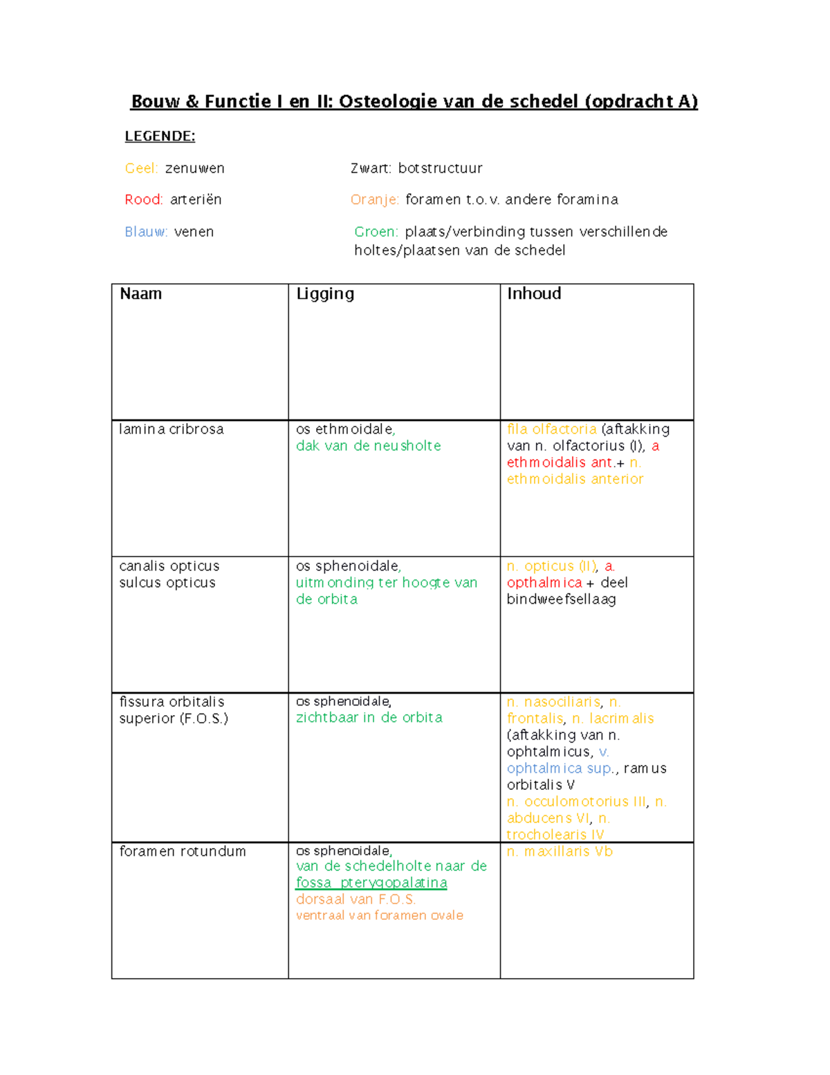 Schematisch overzicht: Osteologie van de schedel - Bouw & Functie I en ...