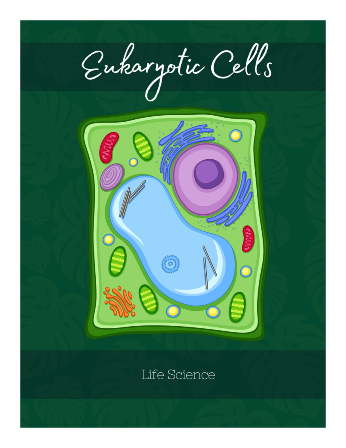 Cell Type 1 - cell type tecmileno - Epidermis (Outer Layer of Skin ...