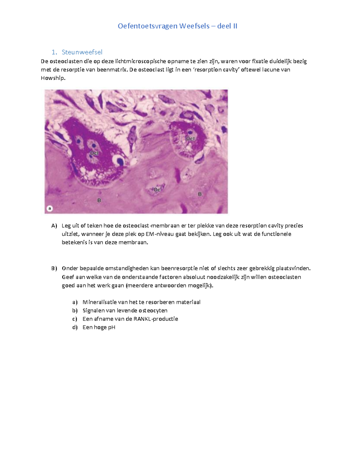 Oefentoets Weefsels deel 2 2022-2023 - 1. Steunweefsel De osteoclasten ...