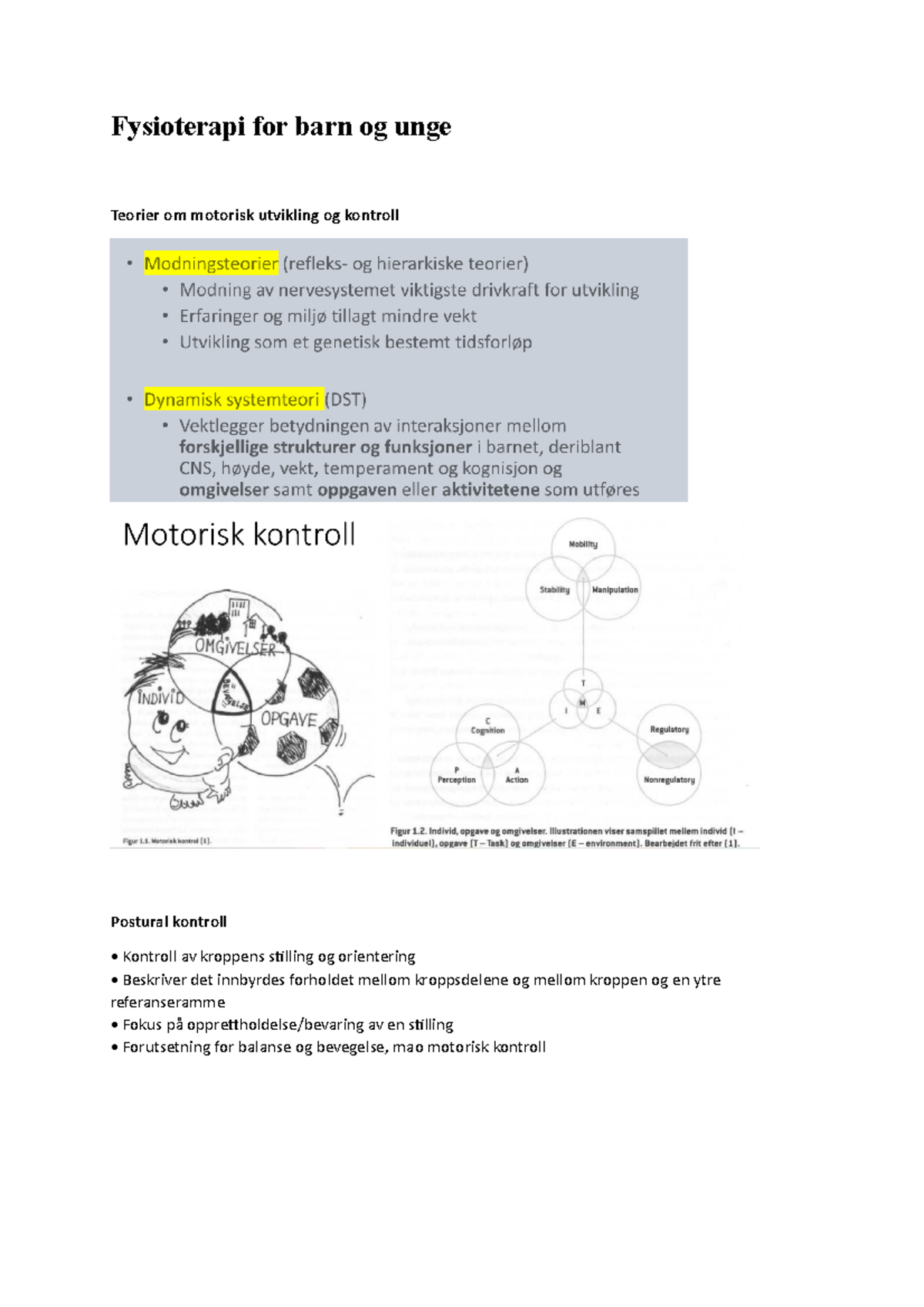 Fysioterapi for barn og unge - Fysioterapi for barn og unge Teorier om ...
