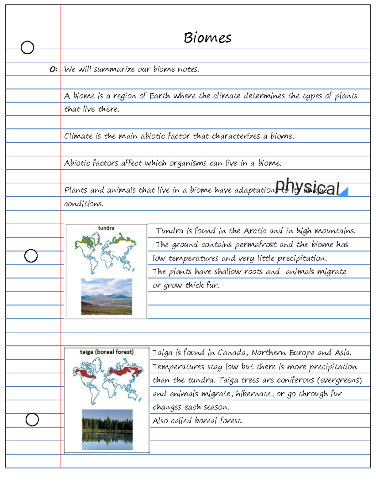 Biomes Notes - Questions - Biomes O: We will summarize our biome notes ...