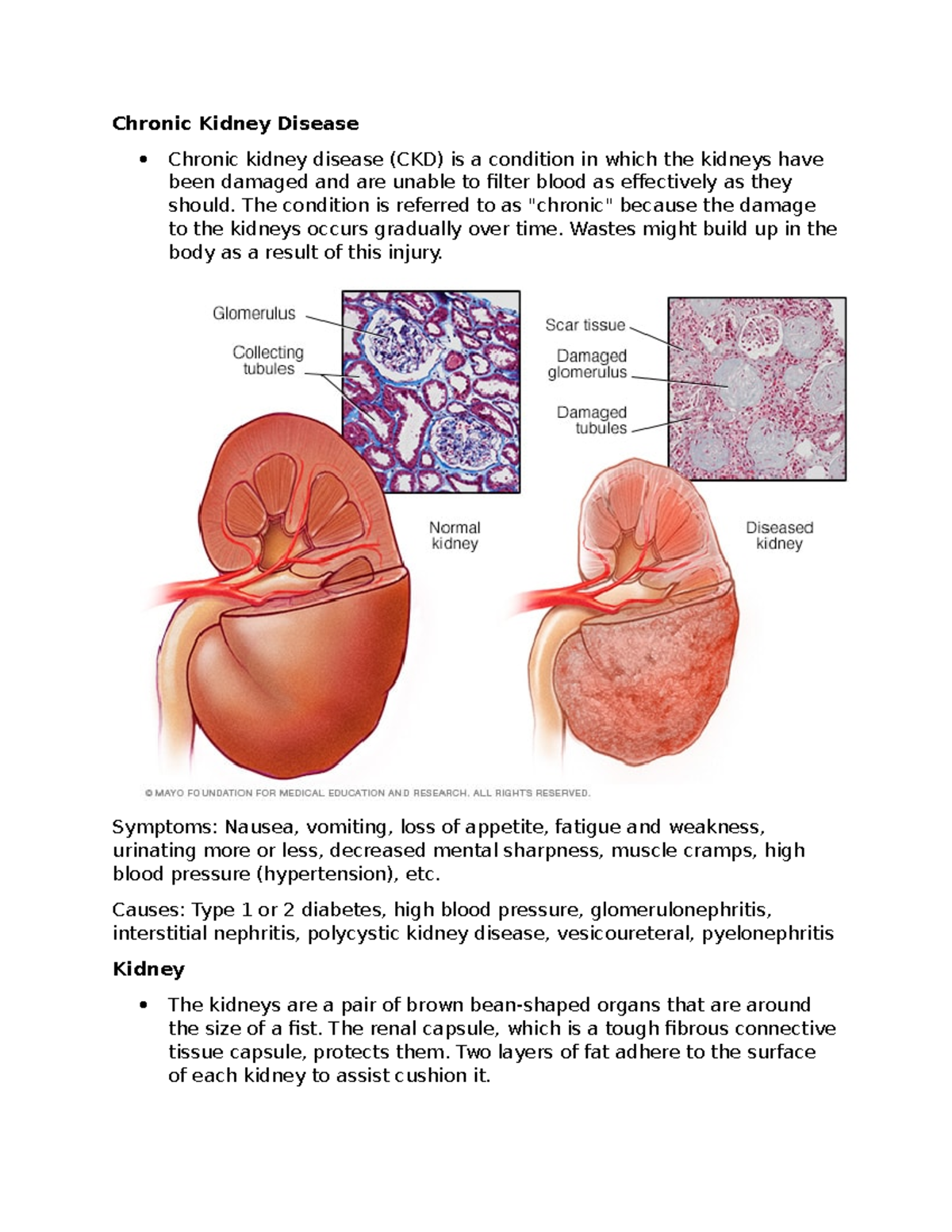 Protein-Synthesis - Chronic Kidney Disease Chronic kidney disease (CKD ...