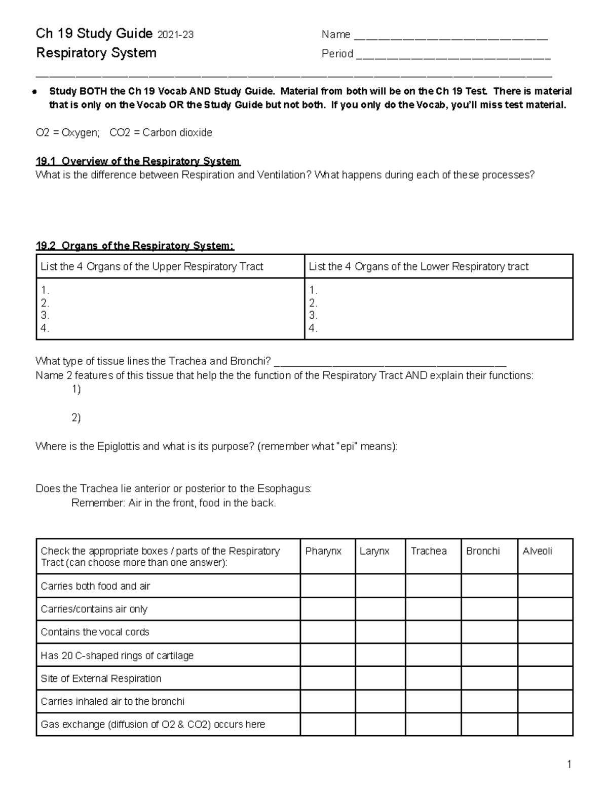 Ch 19 Study Guide - Respiratory System 21-23 - Material from both will ...