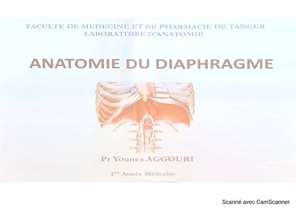 5,Diaphragme - lecon détaillée avec des schemas - anatomie - Studocu