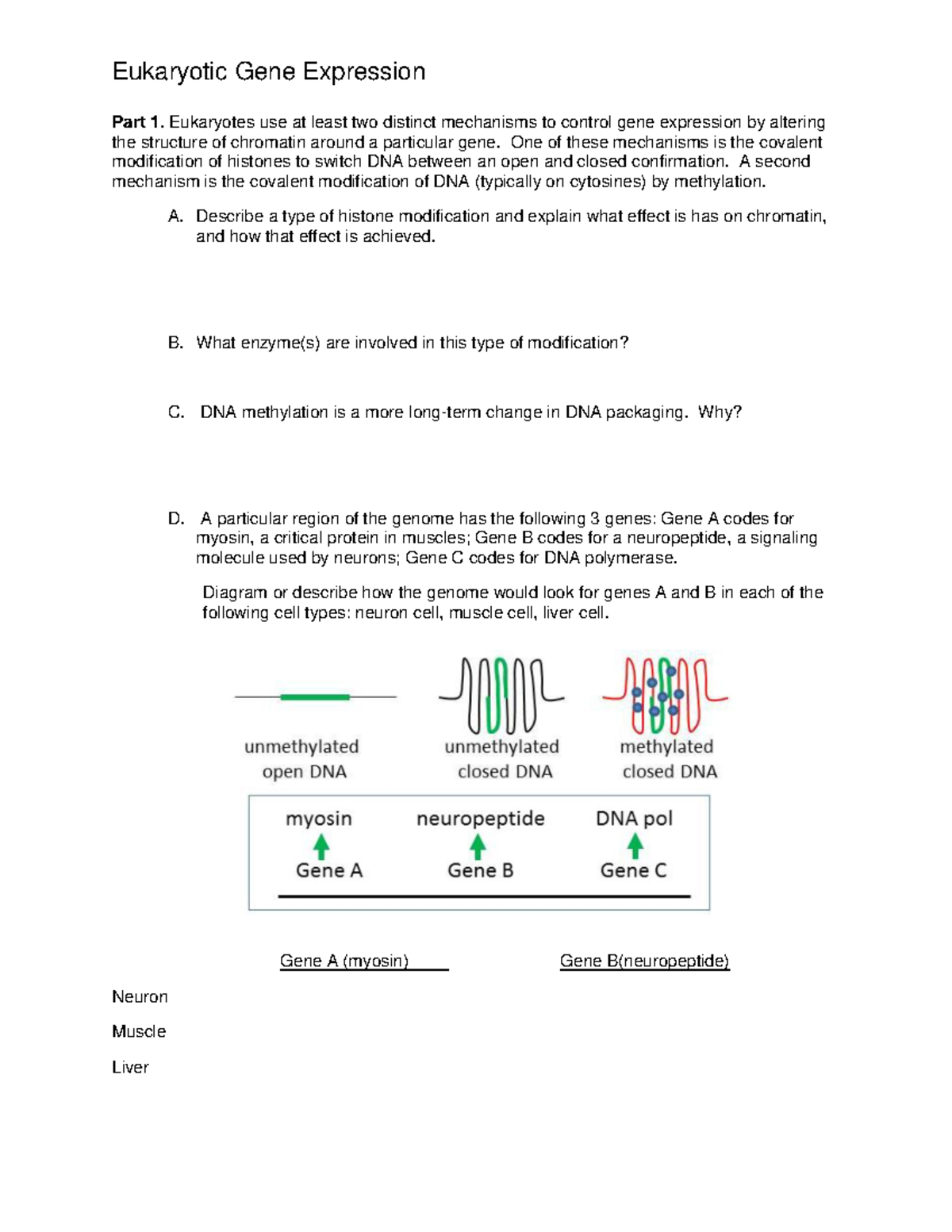 Discussion 4: Eukaryotic Gene Expression - Eukaryotic Gene Expression ...