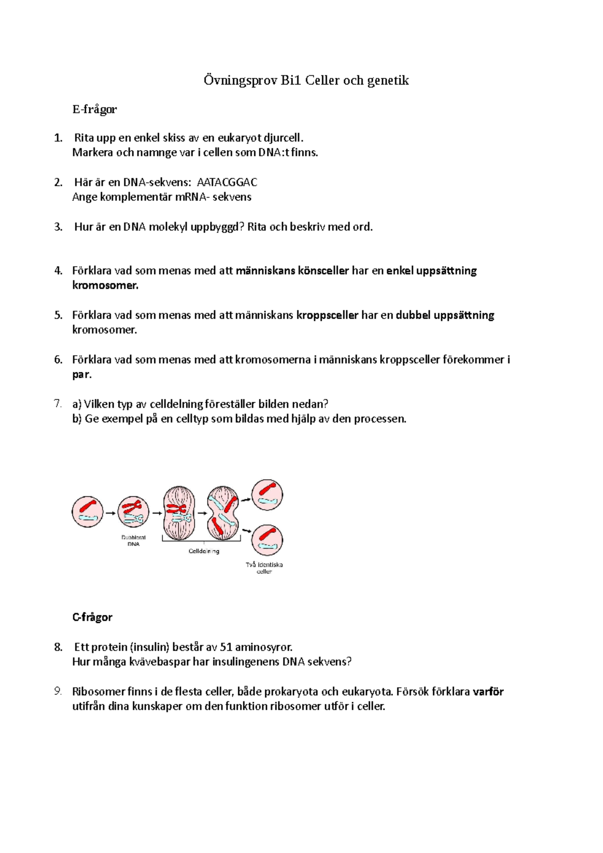 Exempelprov Bi1 Celler och genetik - Övningsprov Bi1 Celler och genetik E-frågor Rita upp en ...