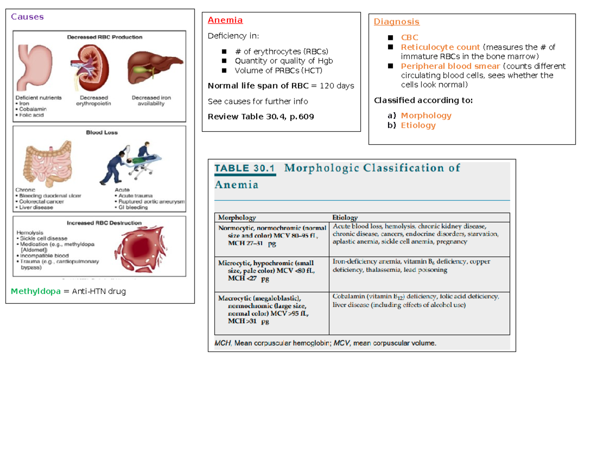 CHP 30 Hematologic Disorders - Diagnosis CBC Reticulocyte count ...