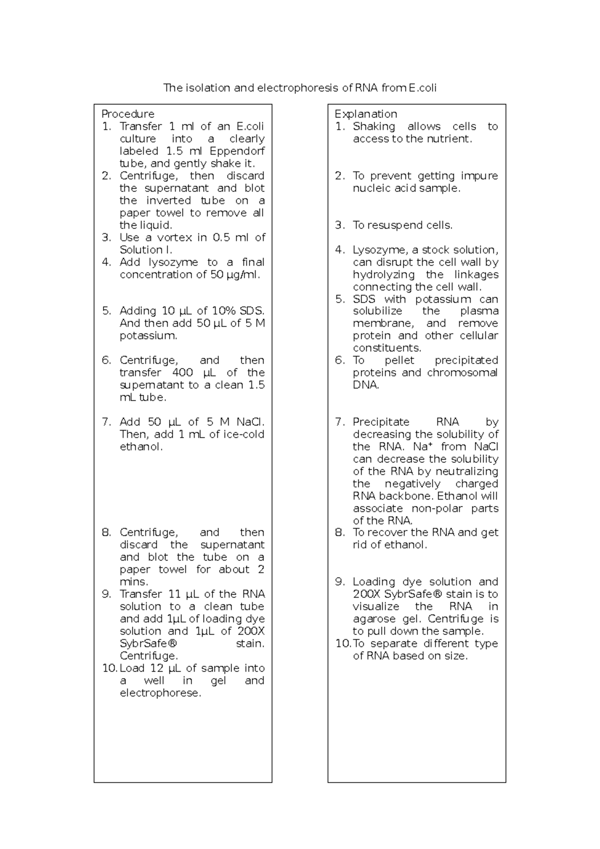 BIO230 Lab3 Flowchart - The isolation and electrophoresis of RNA from E ...