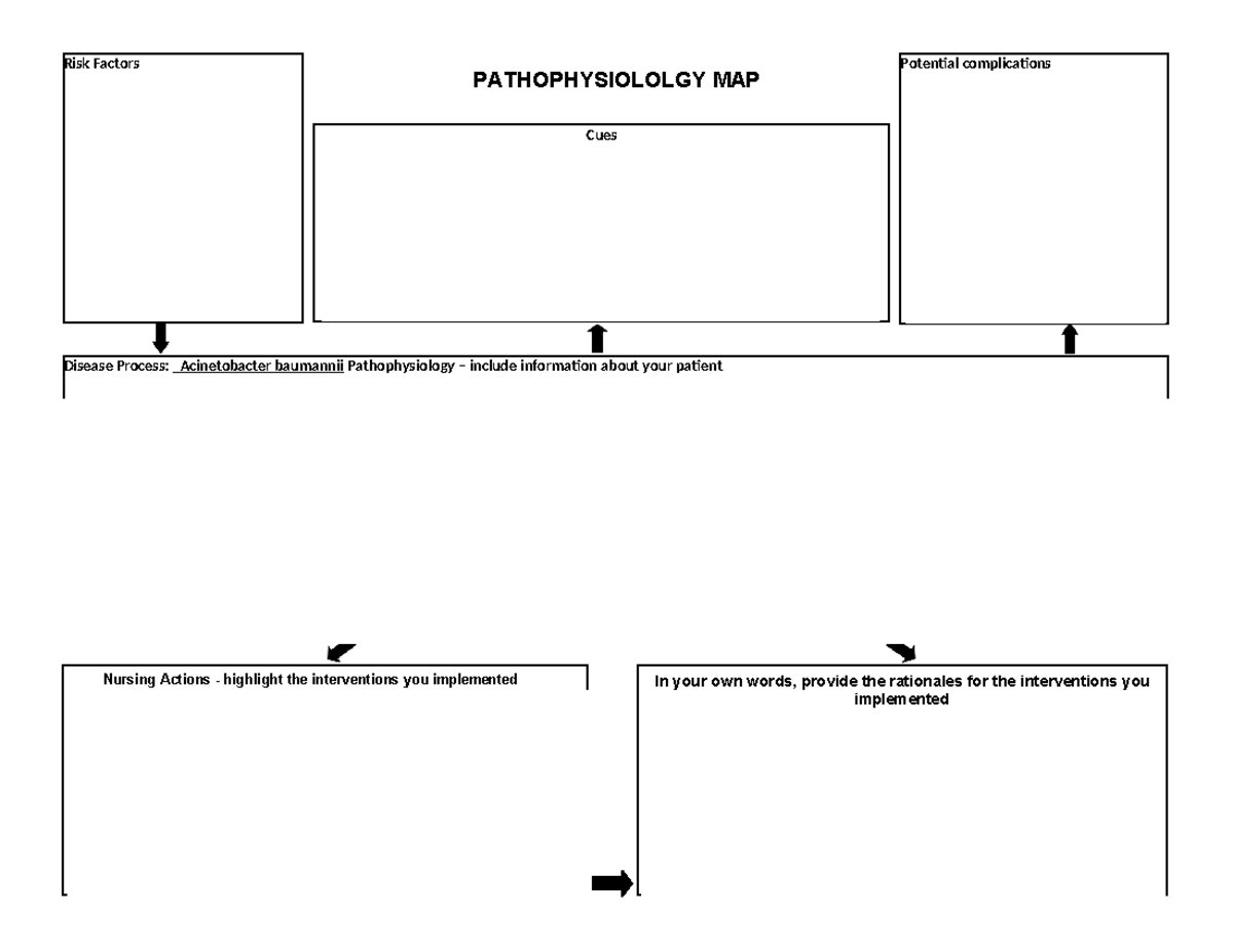 Multiple Concept Maps - b41 - Disease Process: Acinetobacter baumannii ...