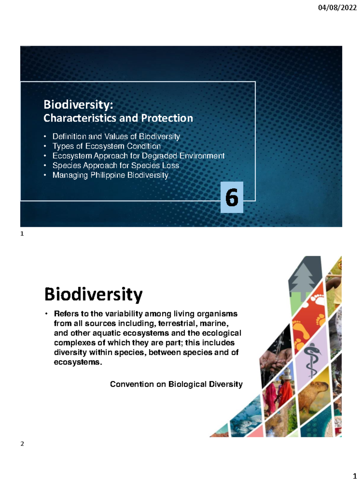 Biodiversity Characteristics and Protection - Characteristics and ...