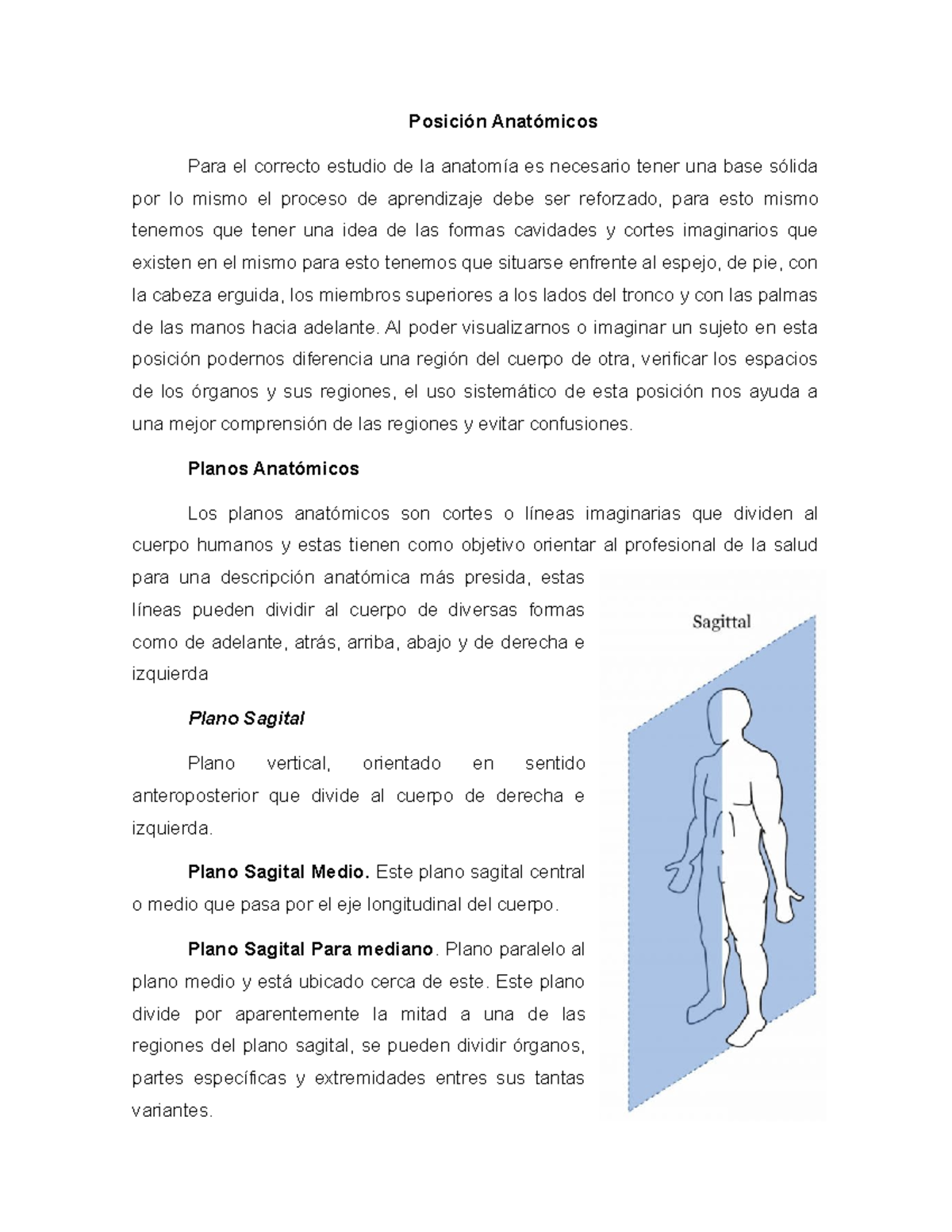 Posiciones antomicas - Posición Anatómicos Para el correcto estudio de ...