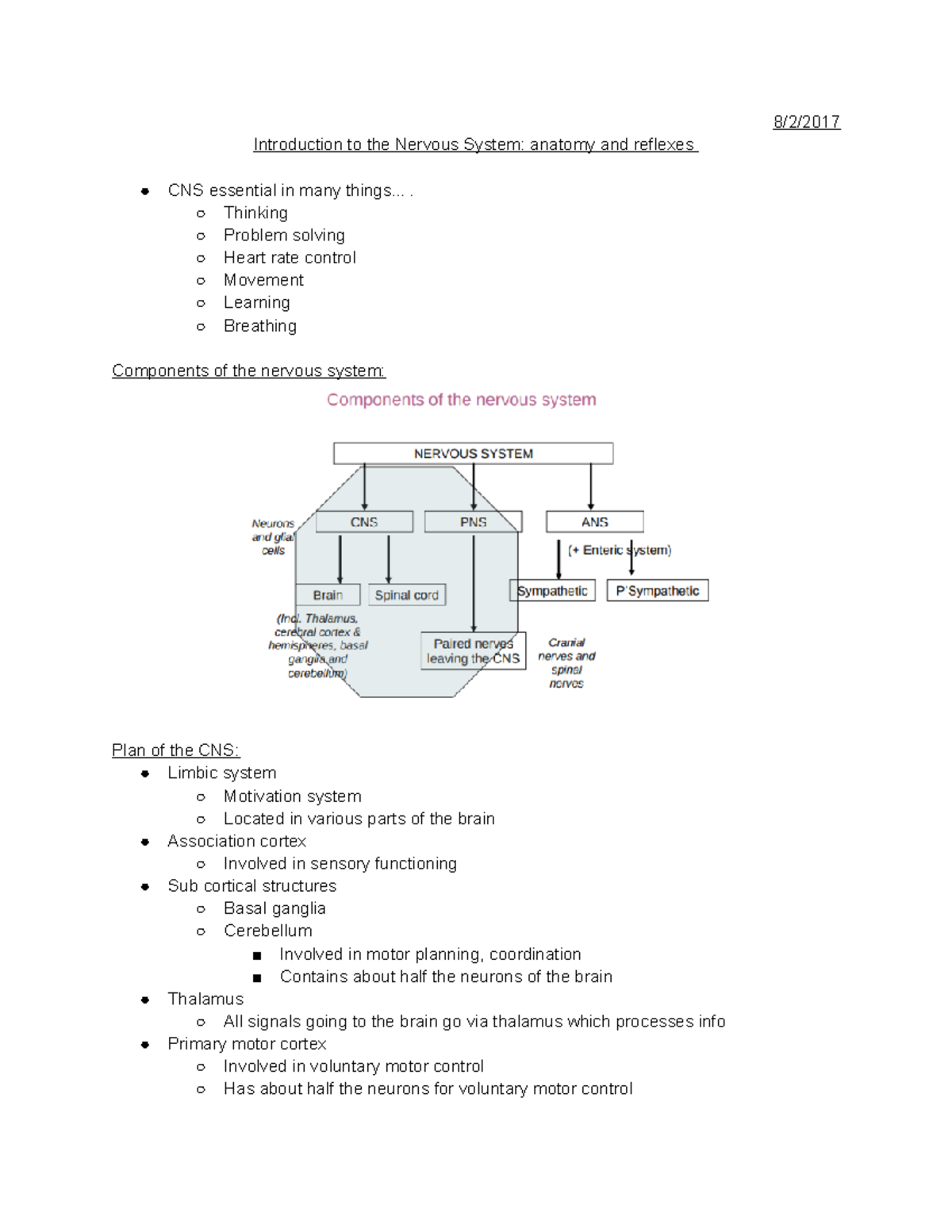10. Introduction to the Nervous System anatomy and reflexes - 8/2 ...