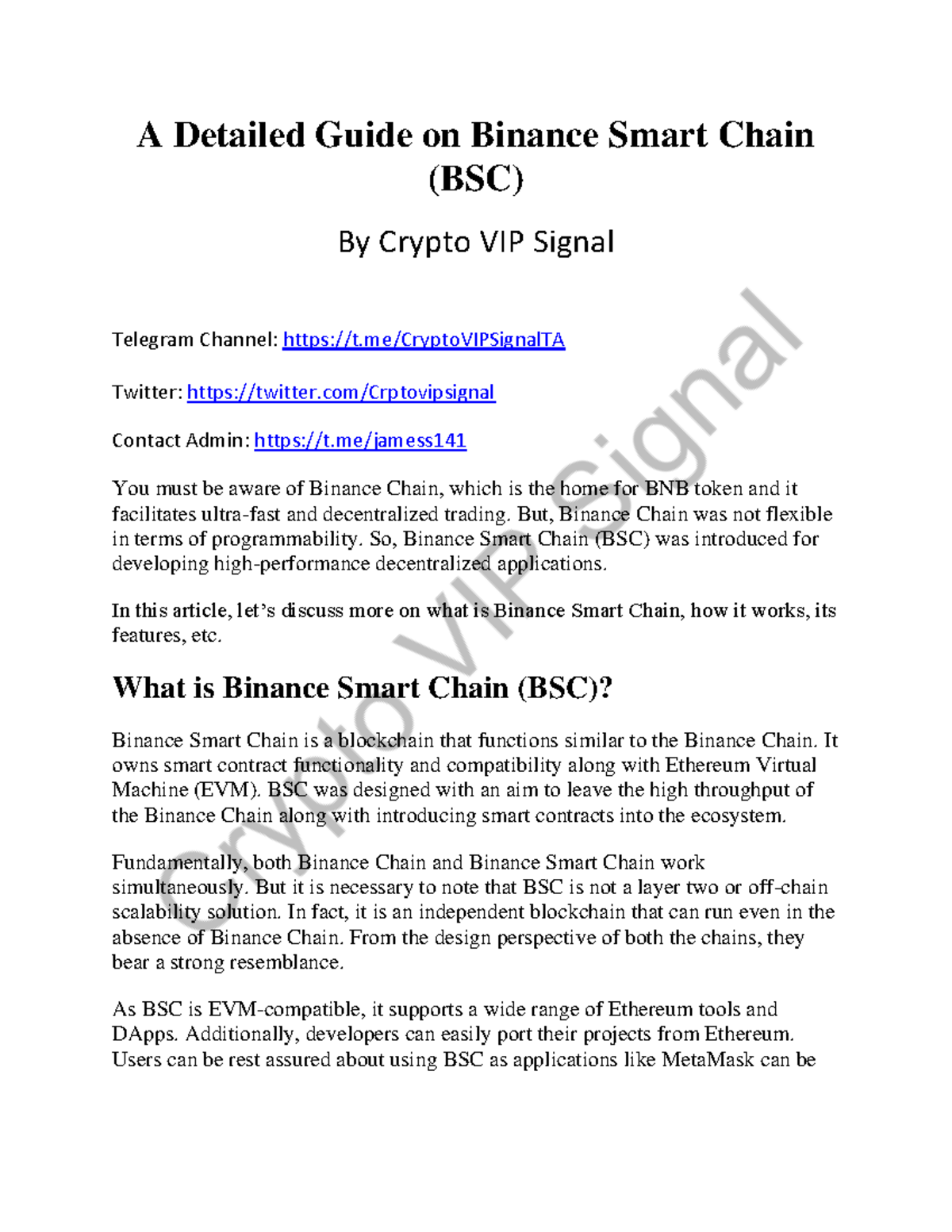 A Detailed Guide on Binance Smart Chain (BSC) - A Detailed Guide on ...