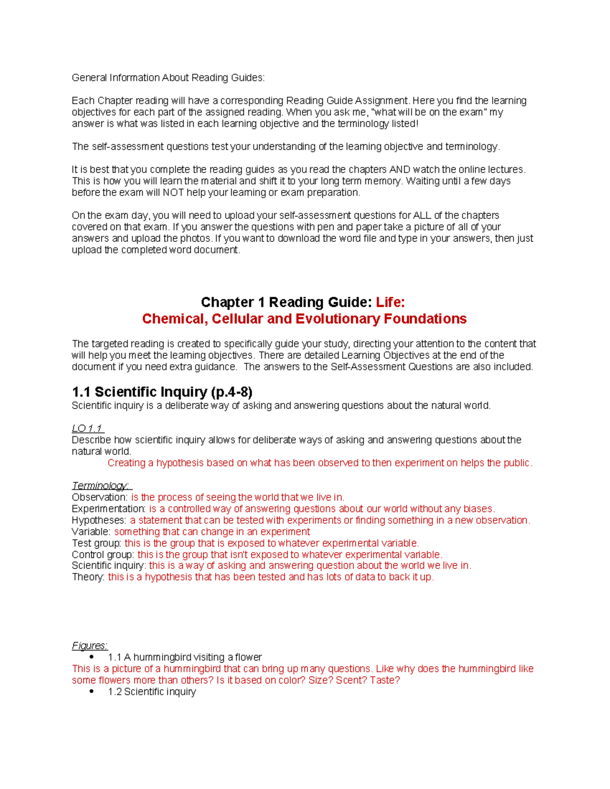 Ch 1 Reading Guide - General Information About Reading Guides: Each ...