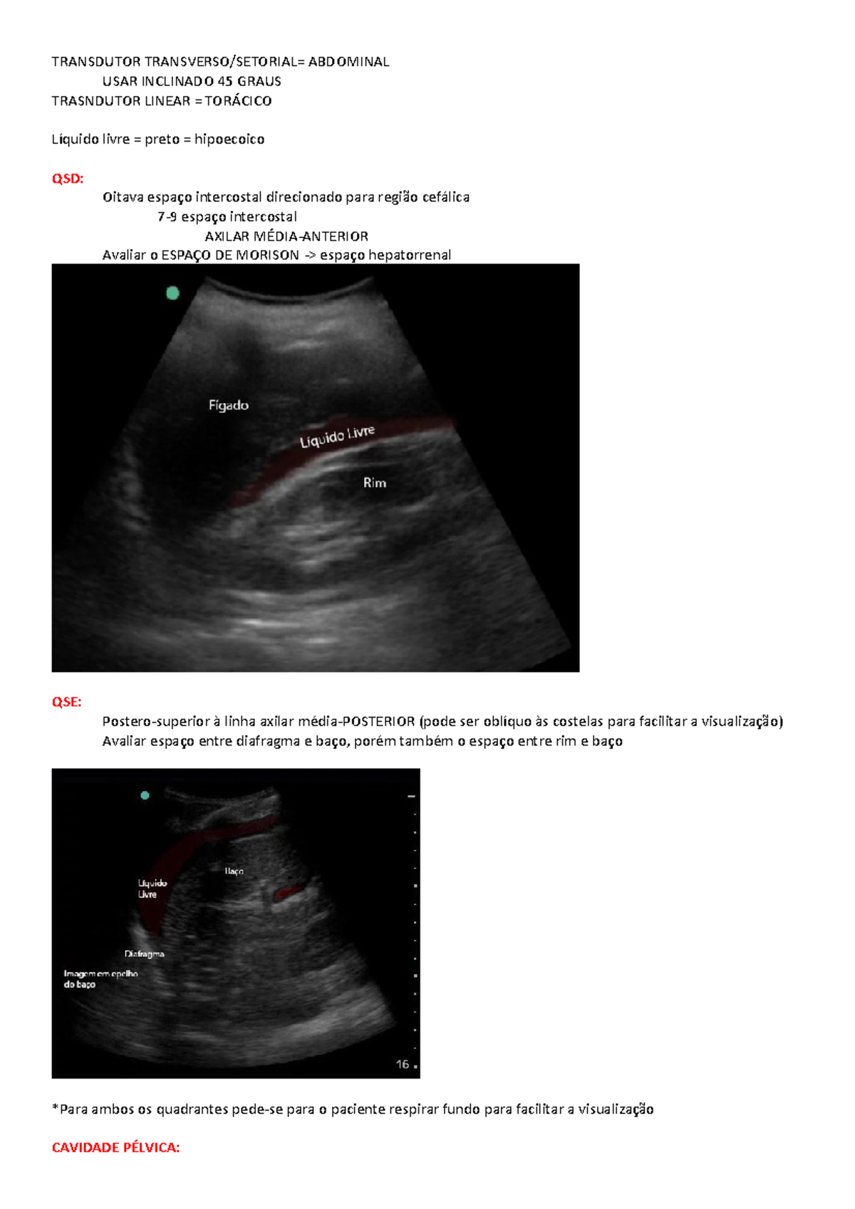 ULTRASSONOGRAFIA POINT OF CARE - TRANSDUTOR TRANSVERSO/SETORIAL ...